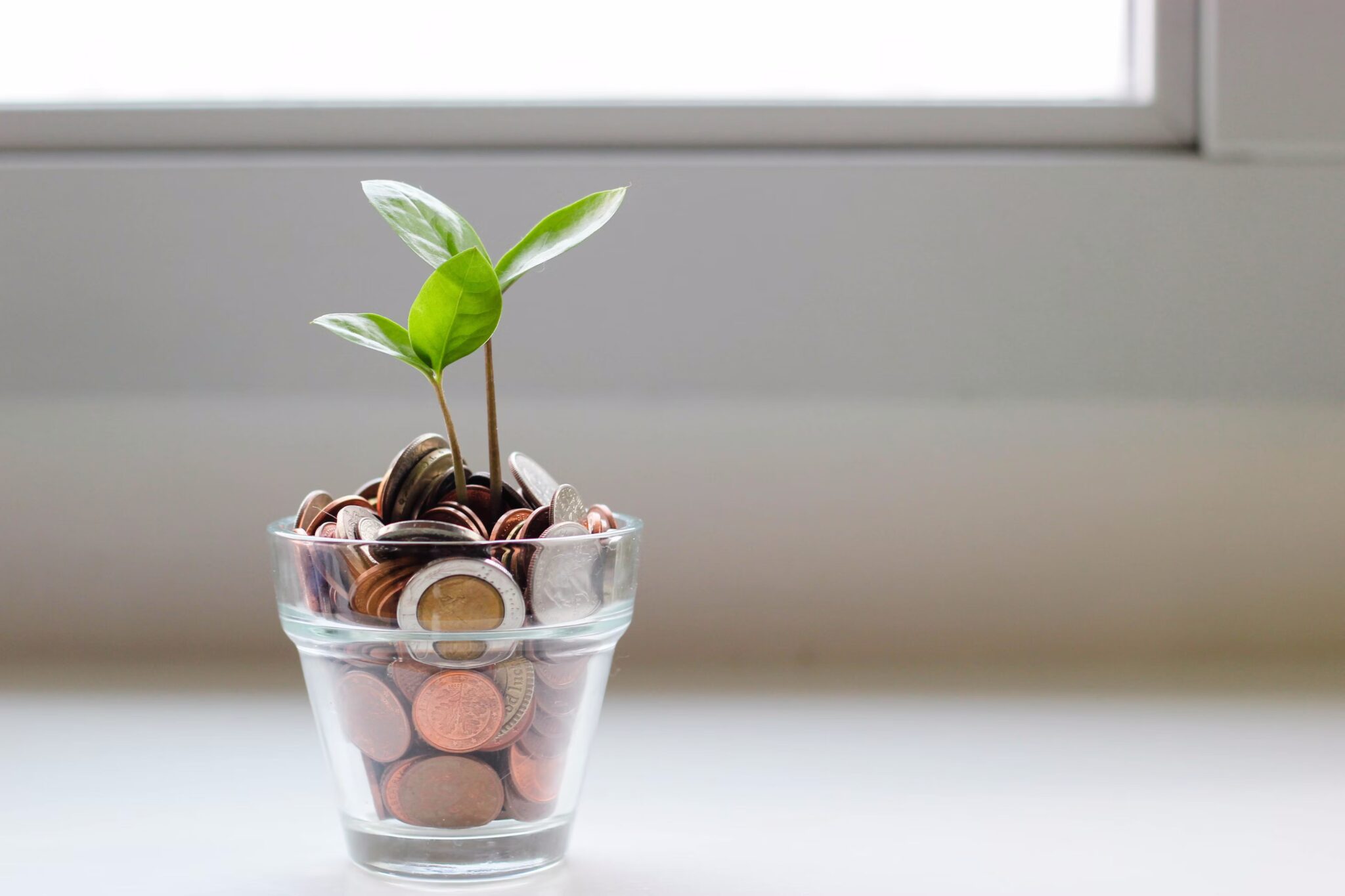 Financial FOMO and smart money moves | Moneybox | Save and Invest